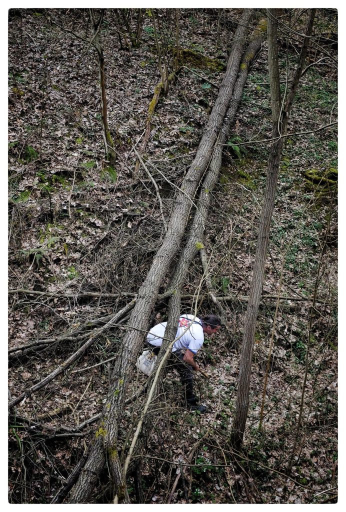 RUŠANJ – pictogramax